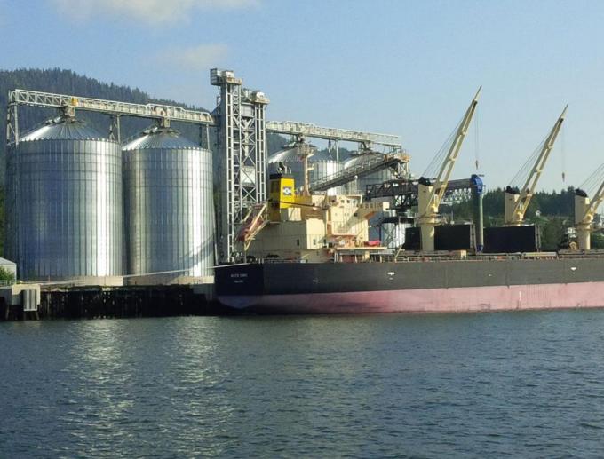 Pinnacle Renewable Energy to supply 100 thousand tonnes of industrial ...