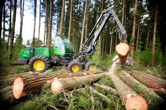 Harvestco to harvest 200,000 tonnes of pine in Kangaroo Island ...