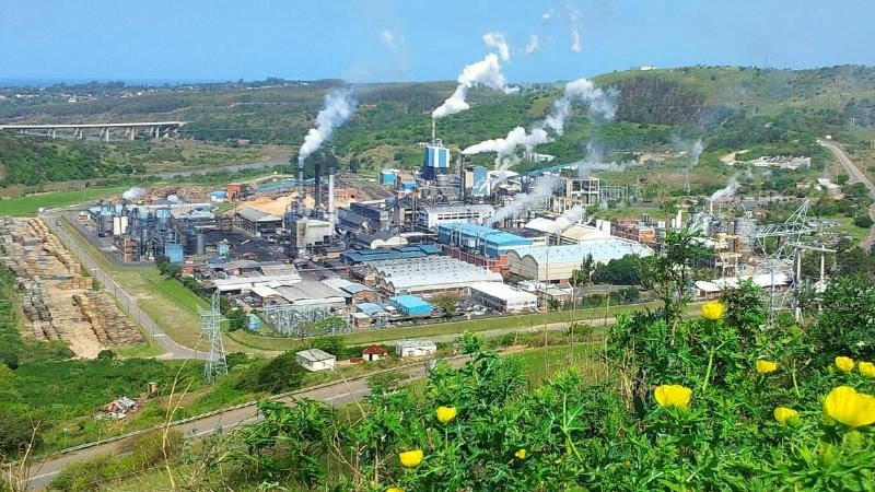 Sappi to replace Saiccor mill recovery boiler parts in 2027