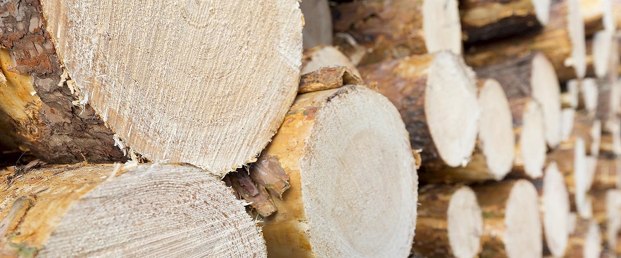 Norrskog and Norra Skogsägarna to merge and form new joint association ...
