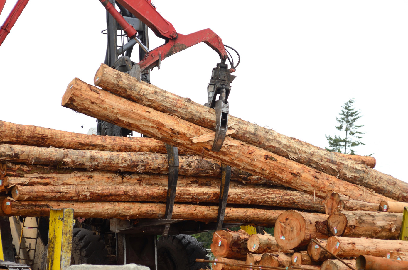 Canadian industries report stable production capacity in first quarter 2024