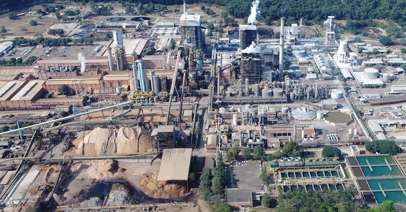 CENIBRA sets annual pulp production record in 2019