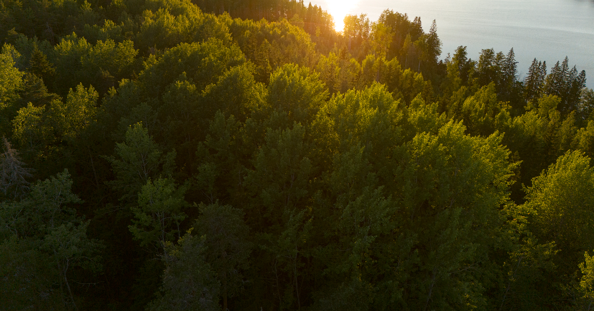 Melayu budak sekolah sex