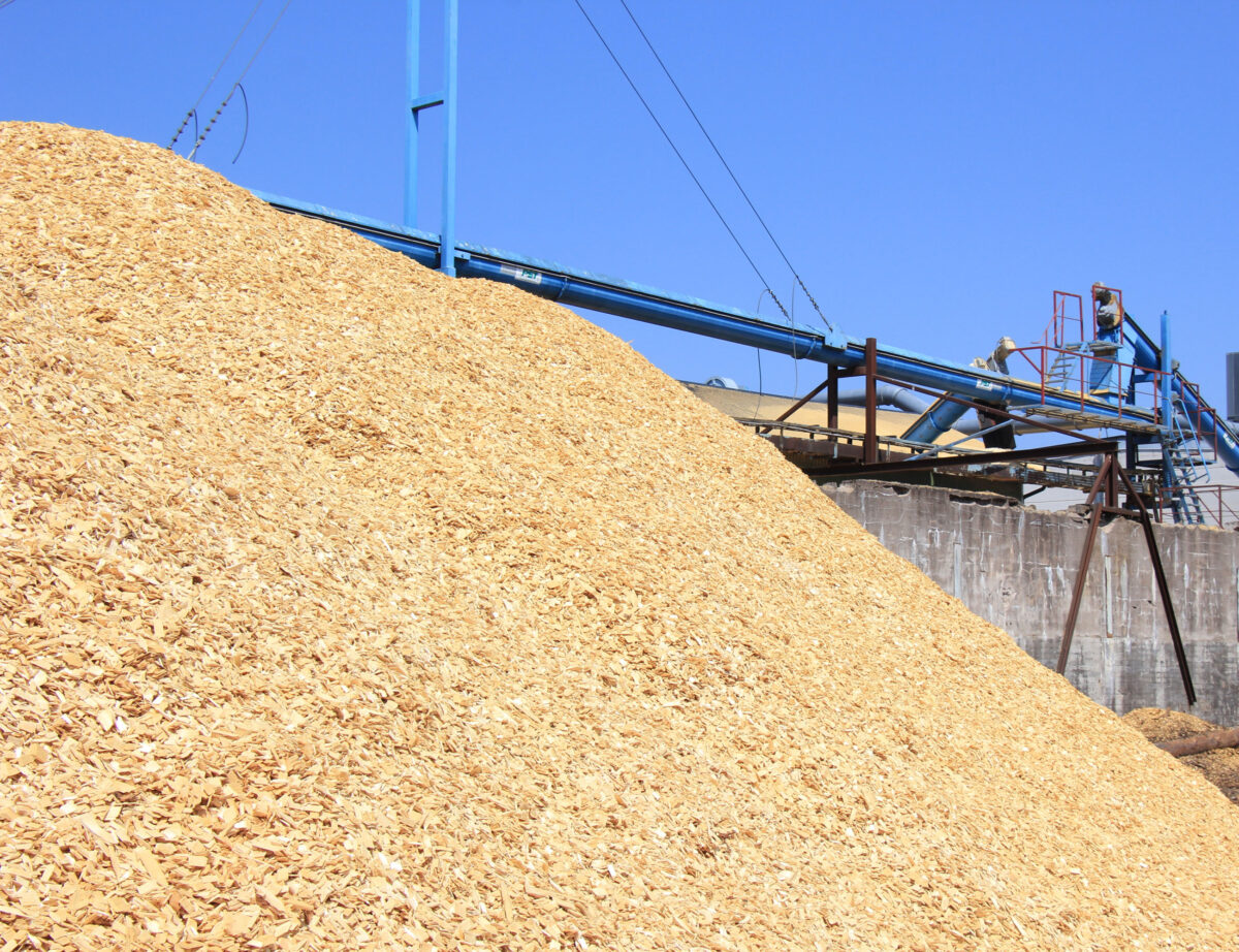 Biomaterial in Tokyo and Taiko Paper commence second-generation ...