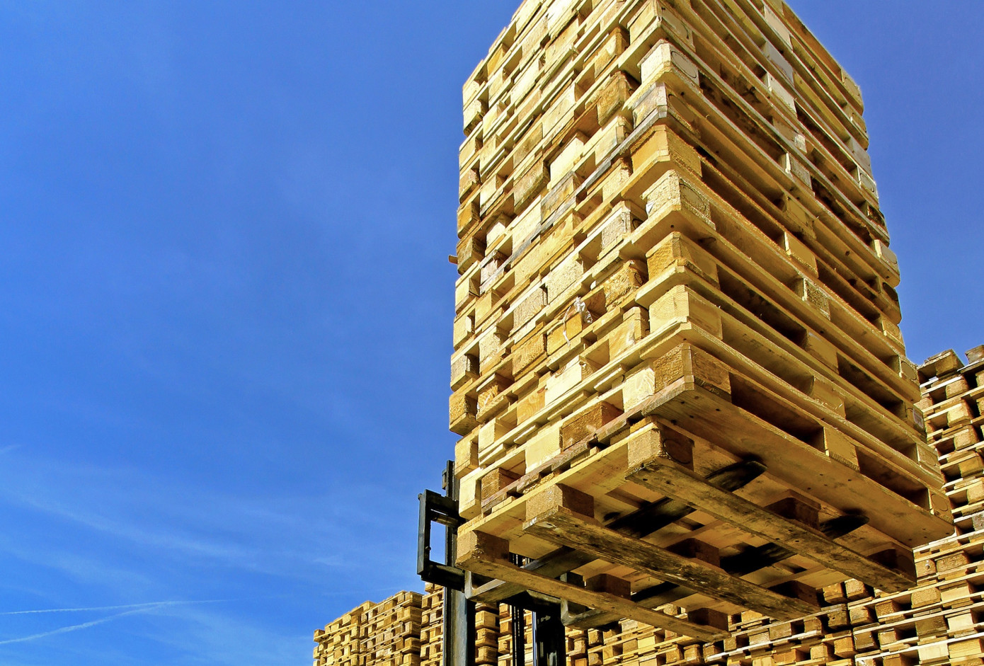 Pallet alternatives rise as forklift use drops by 28% in 2023