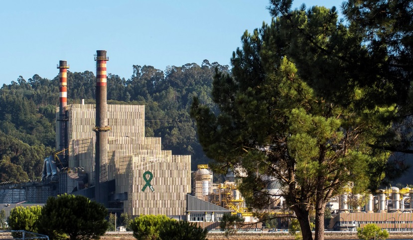 Ence gets more than 1 million tons of pulp sales agreements in 2024