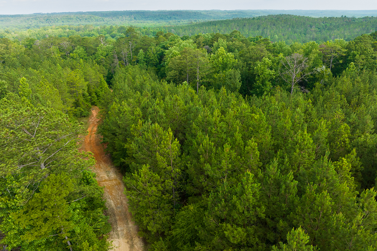 Conservation Fund buys 23,000 acres of at-risk forestland in Southern ...