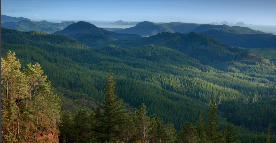 Rayonier to acquire approximately 172,400 acres of timberlands in U.S ...