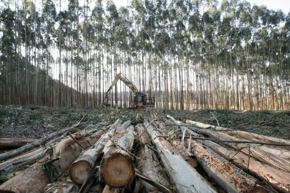 Qarlbo Biodiversity and Woodland Biofuels sign biomass supply agreement