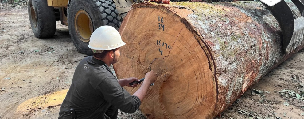 Tropical Forest Products partners with Logan Lumber to distribute Black ...