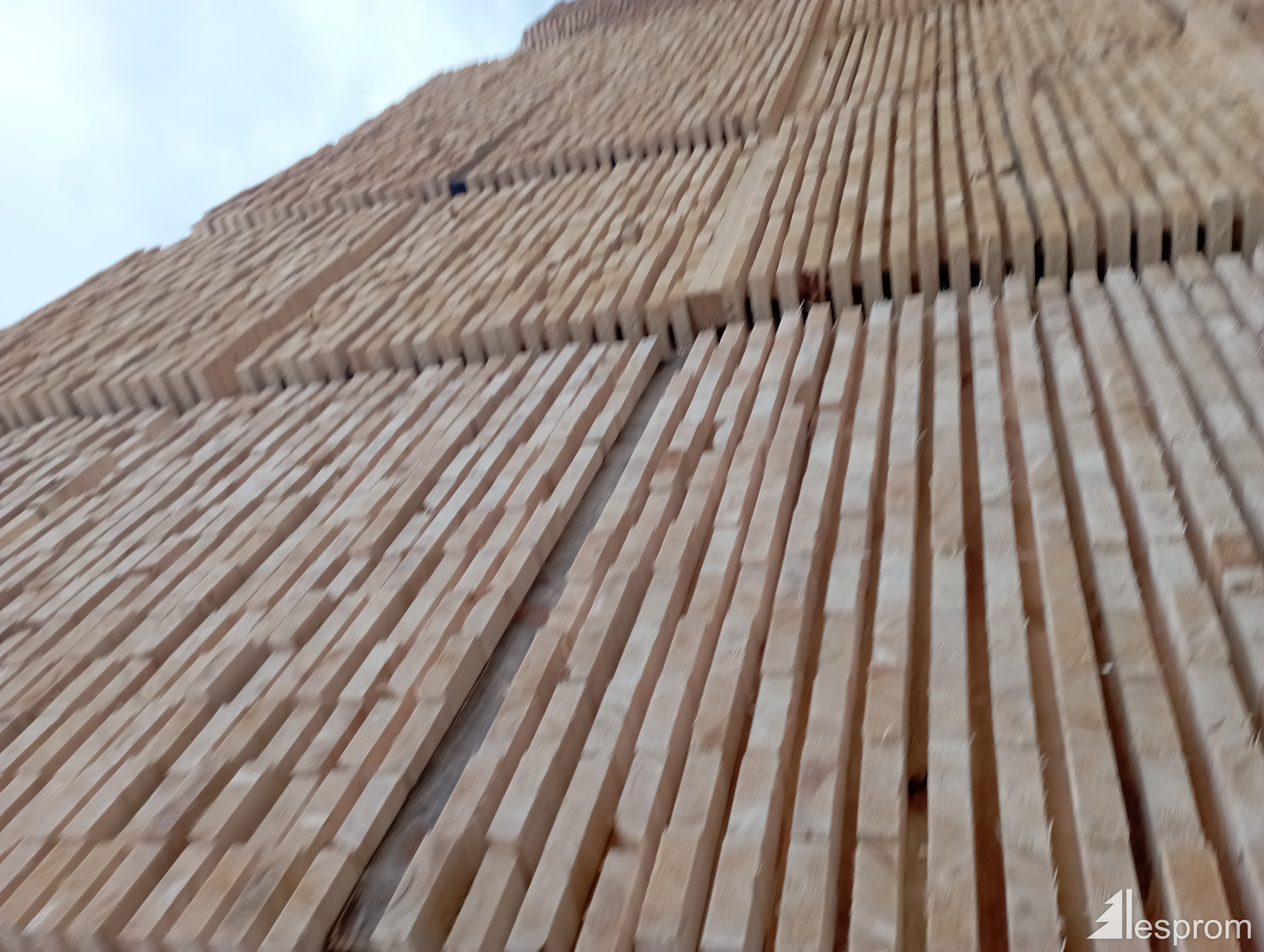 100 mm x 250 mm x 6000 mm KD Spruce-Pine (S-P) Stud