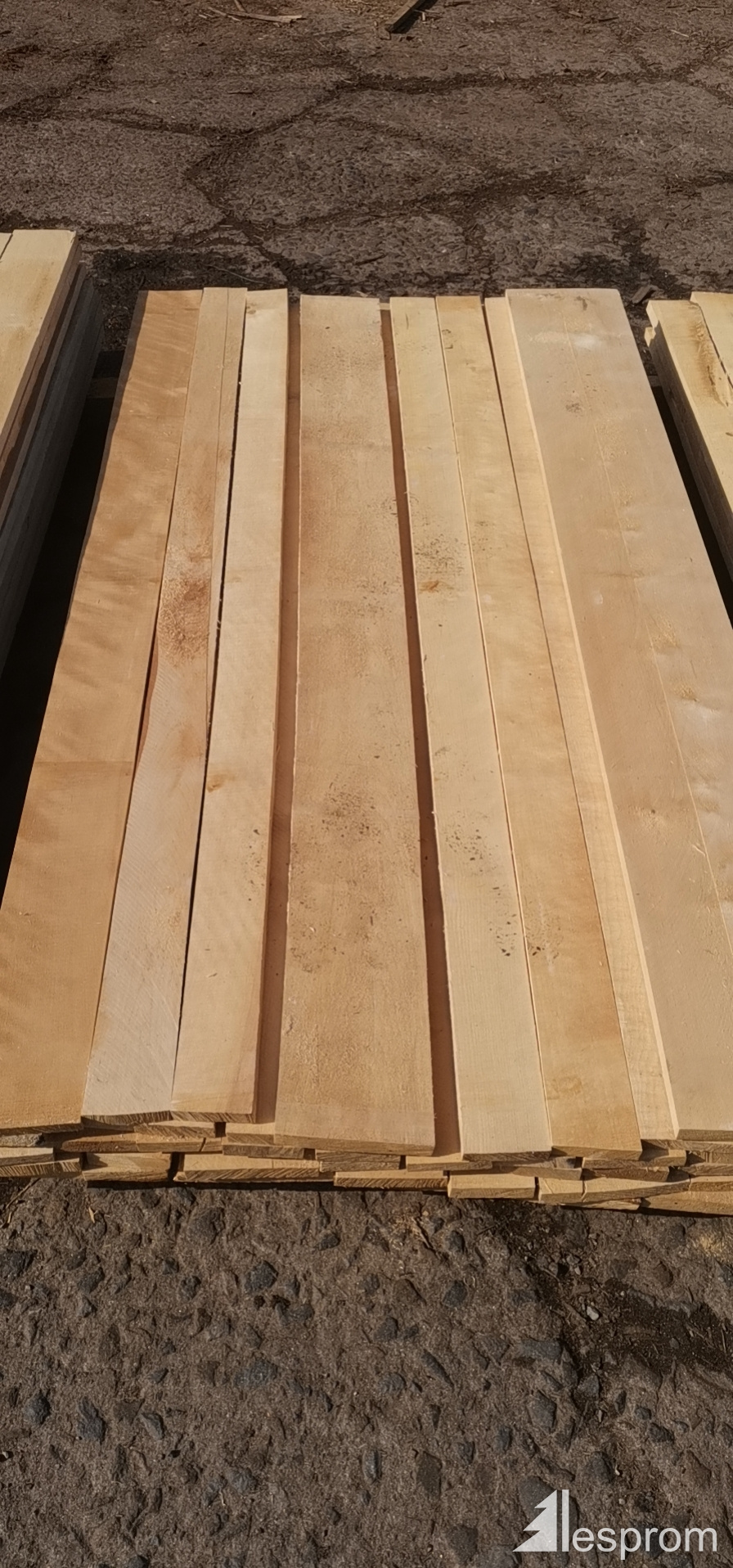 25 mm x 100 mm x 2000 mm AD S1S1E Pressure Treated Birch Lumber