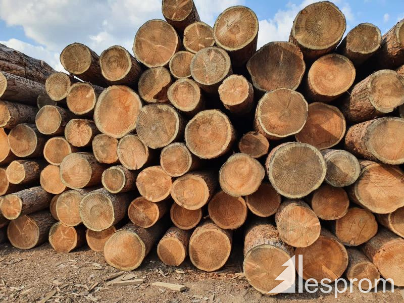 32 mm x 100 mm x 2400 mm KD S4S Spruce-Pine-Fir (SPF) Lumber