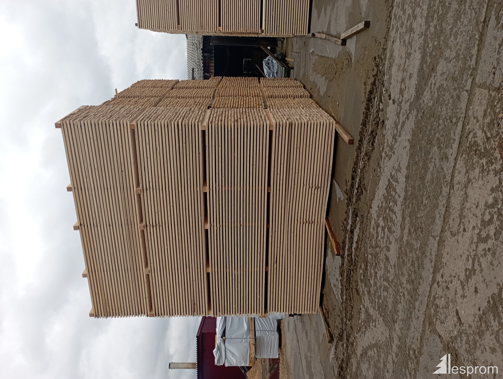 100 mm x 250 mm x 6000 mm KD Spruce-Pine (S-P) Stud