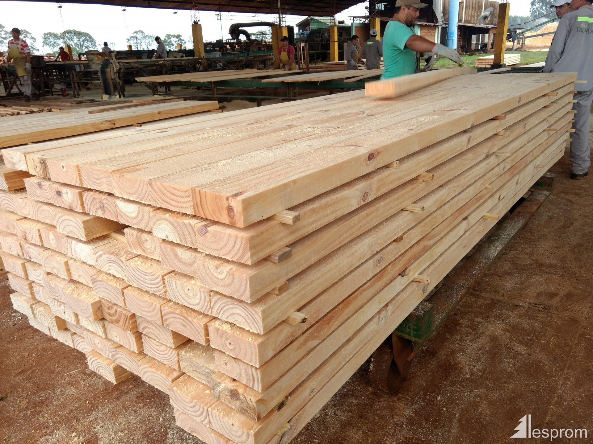 50 Mm X 150 Mm X 3660 Mm KD R S Taeda Pine Lumber 50 Mm X 150 Mm X 3660 Mm KD R S Taeda Pine Lumber