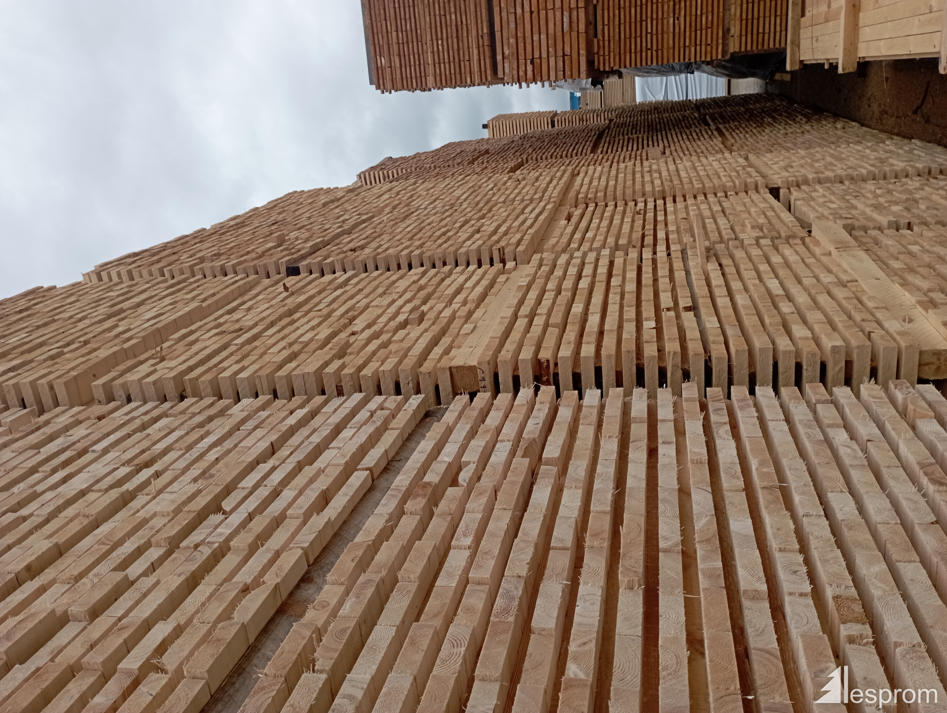 100 mm x 250 mm x 6000 mm KD Spruce-Pine (S-P) Stud