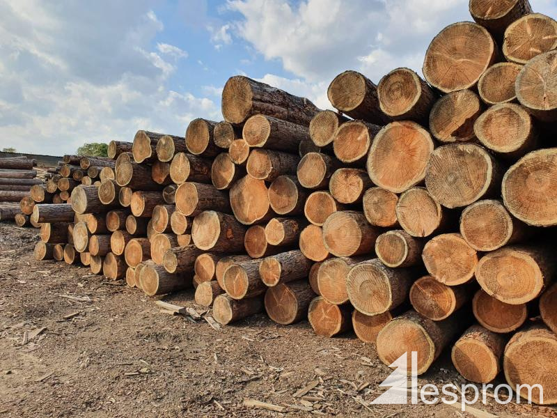 32 mm x 100 mm x 2400 mm KD S4S Spruce-Pine-Fir (SPF) Lumber